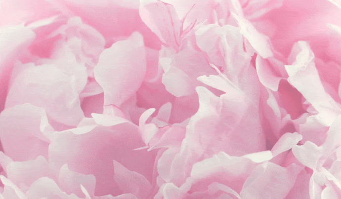 You go first - Rebecca Campbell