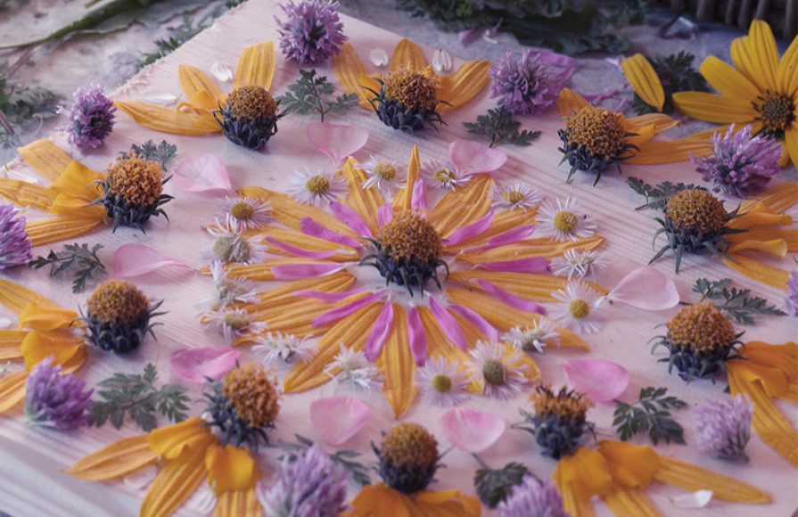 How to Celebrate the Autumn Equinox - Rebecca Campbell