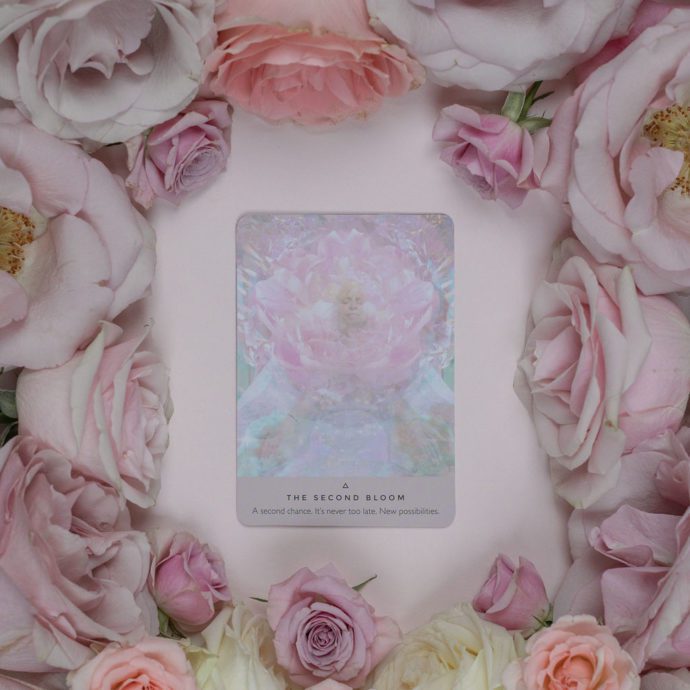 The Second Bloom - Rebecca Campbell