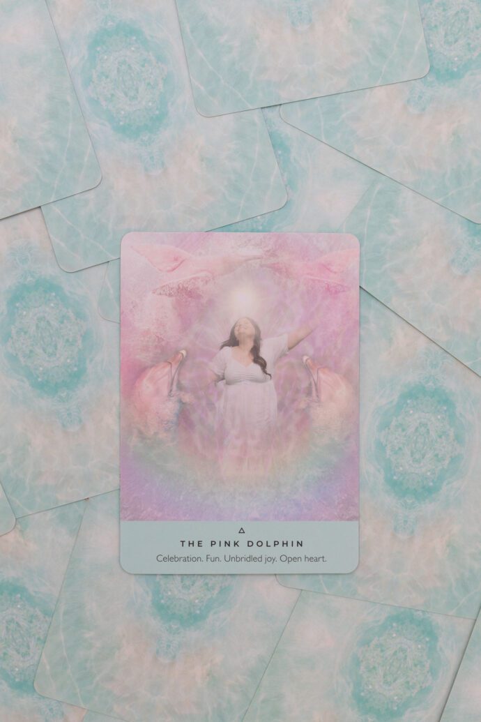 The Pink Dolphin - Rebecca Campbell